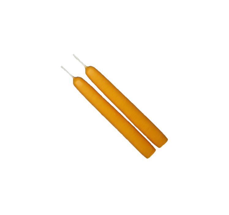 Mole Hollow Taper Pair (Yellow Gold)