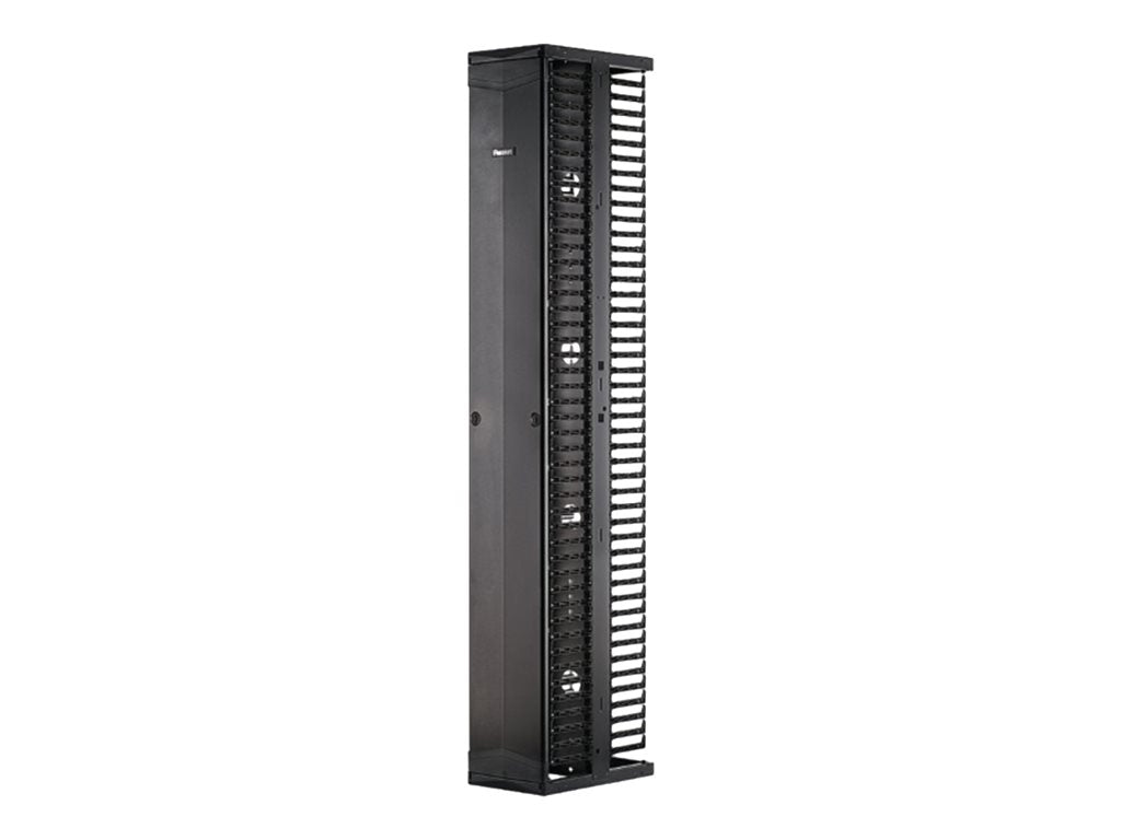 Panduit PatchRunner 2 Dual Sided Manager - Rack cable management panel