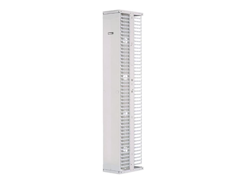 Panduit PatchRunner 2 - Rack cable management panel (vertical) - dual
