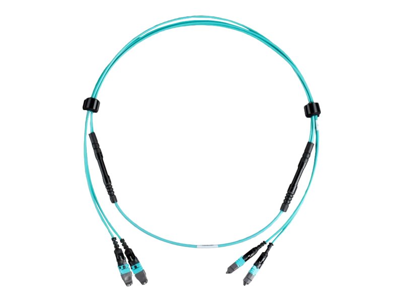 Panduit QuickNet - Network cable - PanMPO multi-mode (F) to PanMPO mul